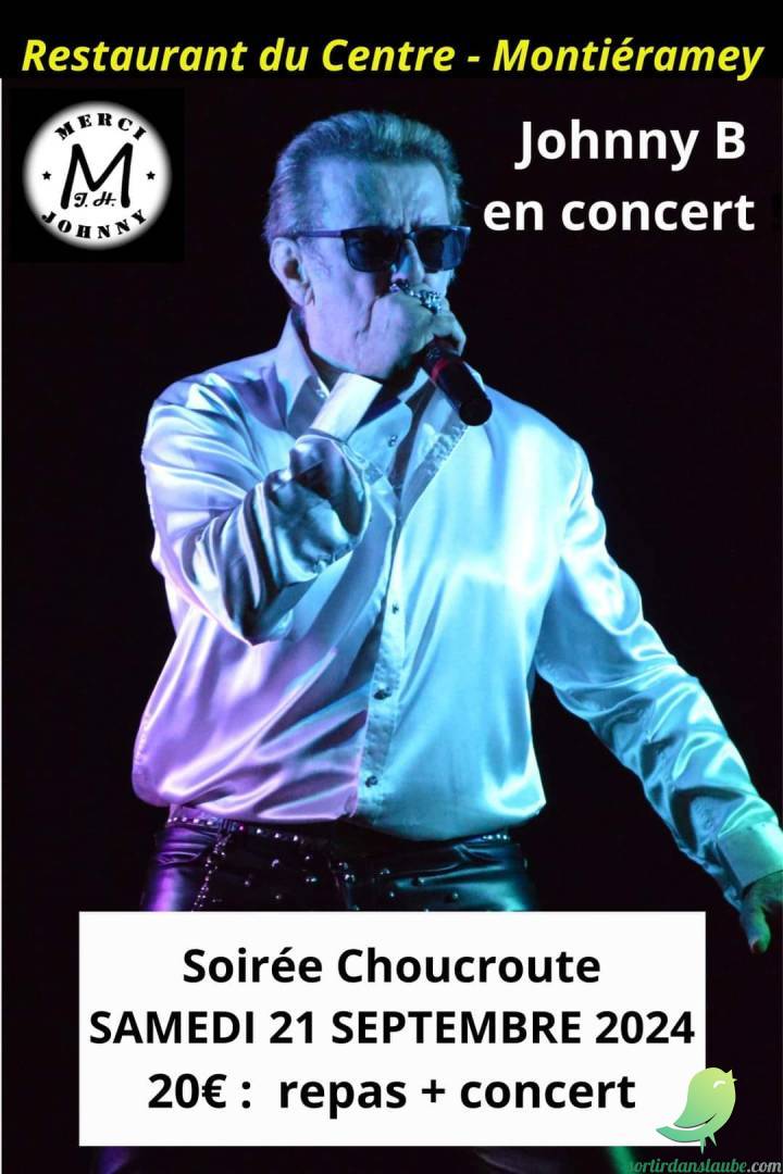 Soirée concert avec Johnny B - Sortir dans l'Aube